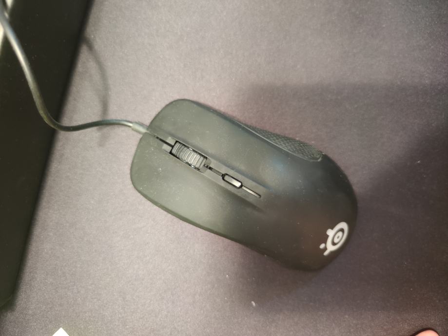 Steelseries Rival 300