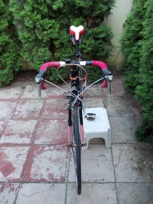 Capriolo Firebird V2