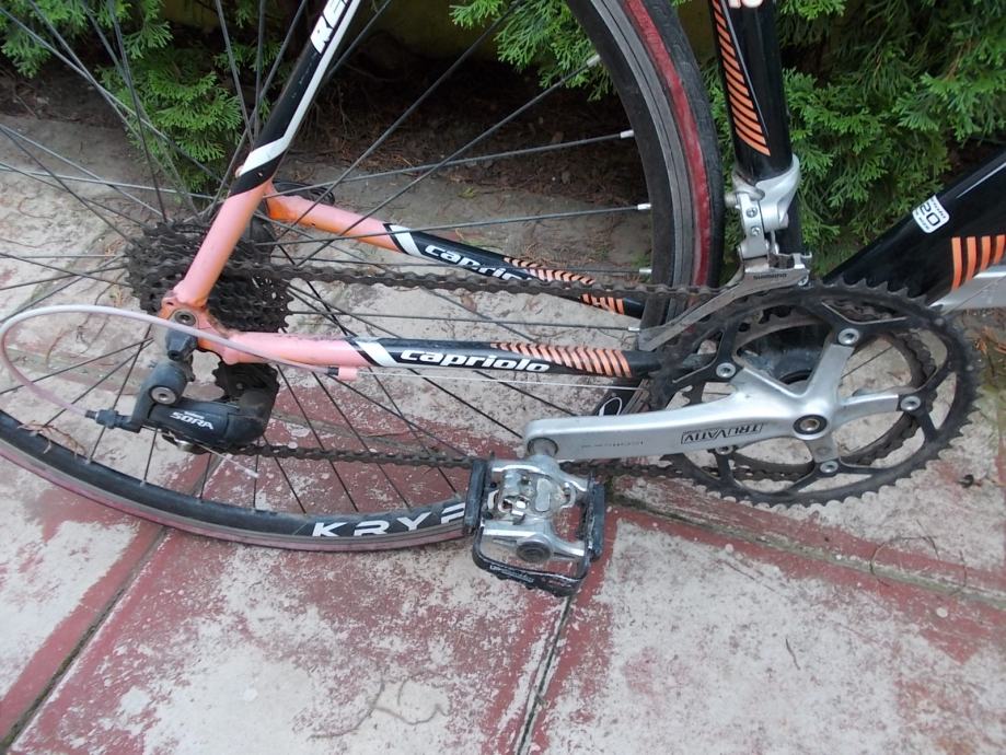 Capriolo Firebird V2