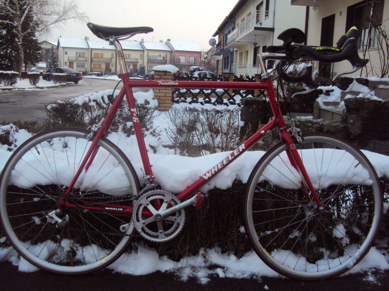 Wheeler t-6 Triathlon