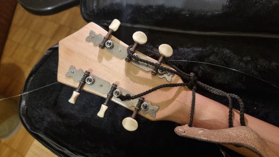 Bendžo (banjo guitar)