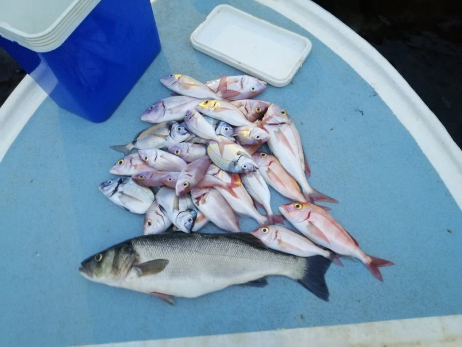 Parangal za bijelu ribu najlonski Orada Arbun Fratar kantra 100