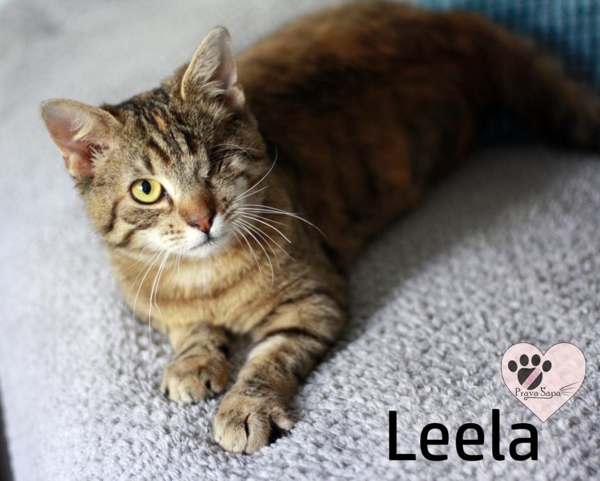 LEELA