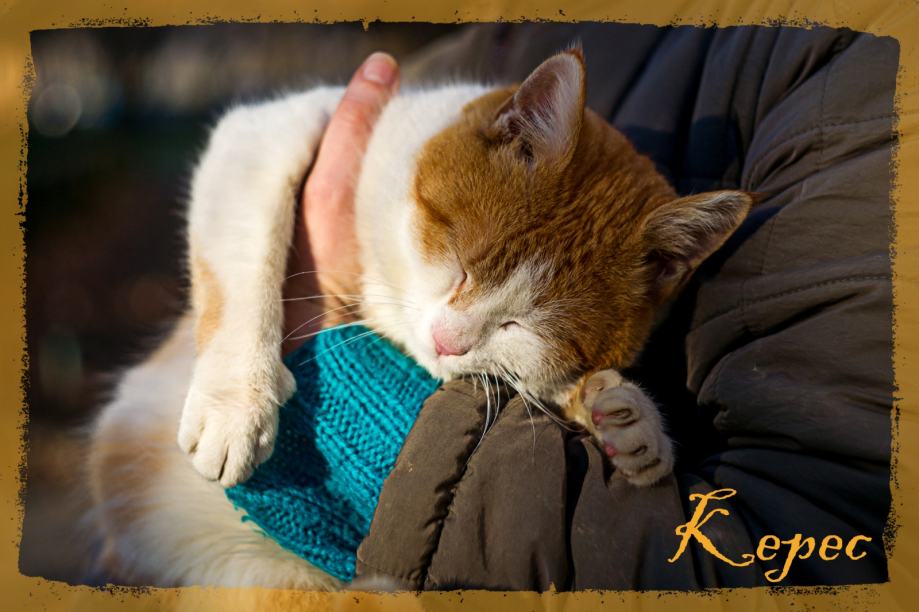 Šarmatni Kepec traži samo svoje ljude