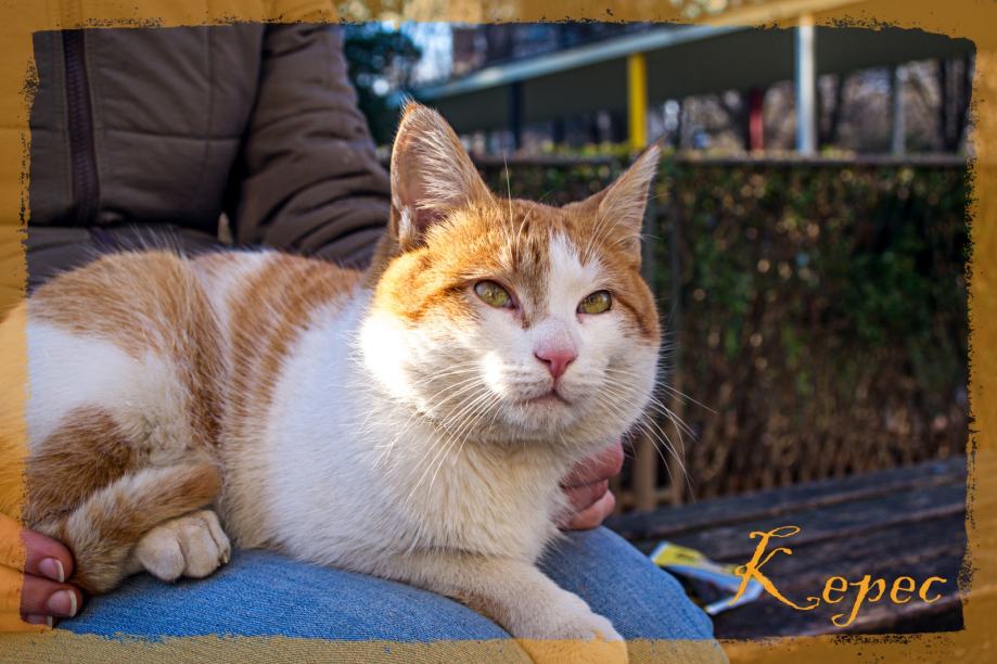 Šarmatni Kepec traži samo svoje ljude