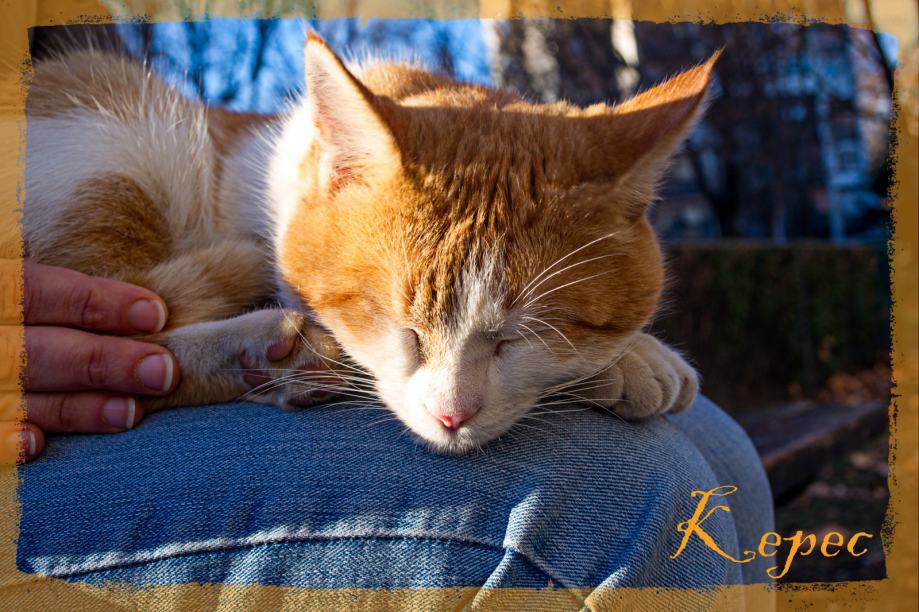 Šarmatni Kepec traži samo svoje ljude