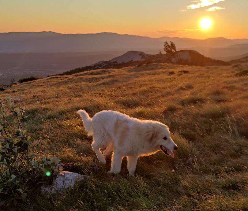 PIRINEJSKI PLANINSKI PAS