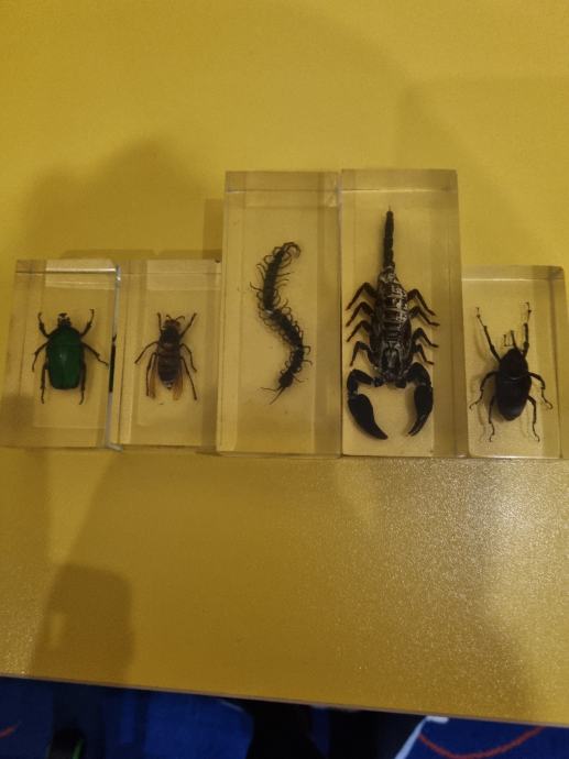 Kolekcija figura insekata