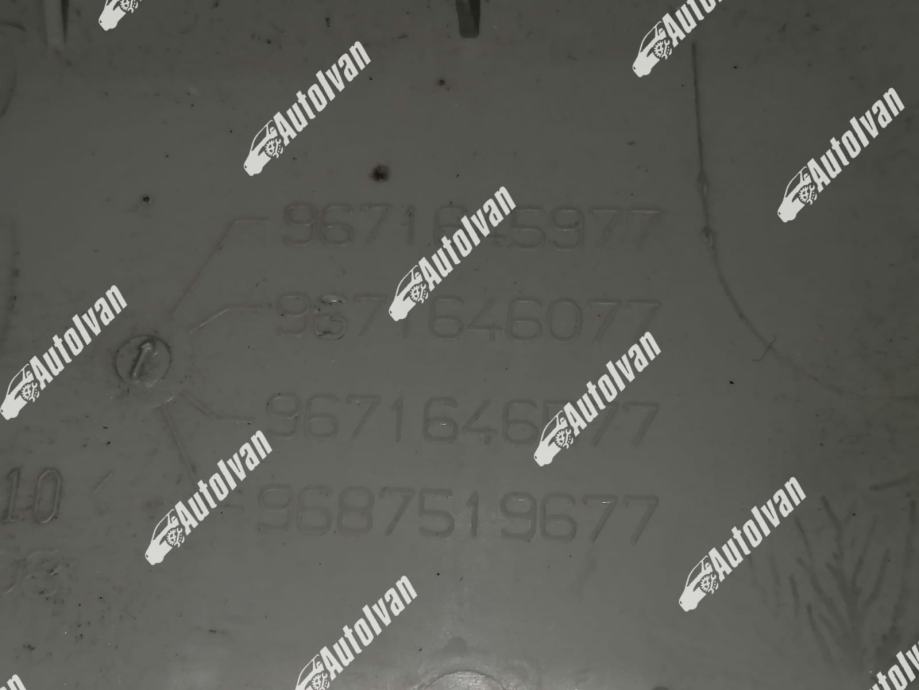 UNUTARNJA KROVNA LAMPA / SVJETLO CITROEN C4 B7 9671645977 9671646077