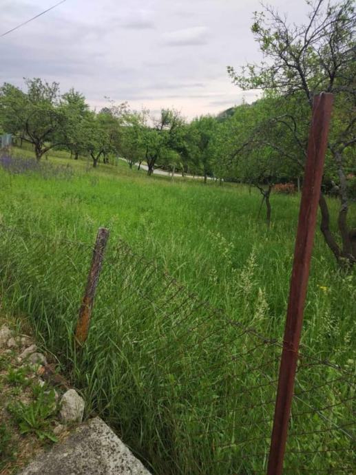 košnja trave, održavanje dvorišta