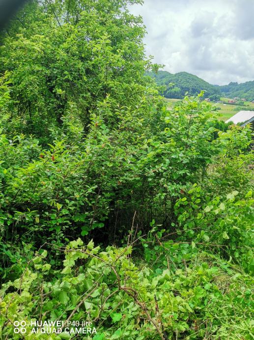 Košnja trave i održavanje