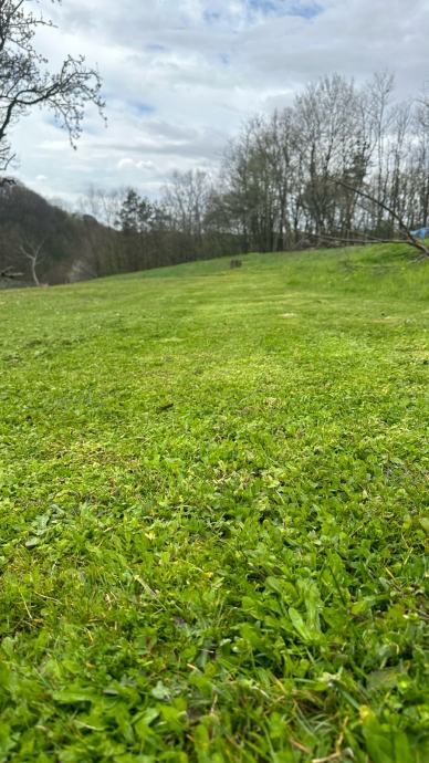 Košnja trave i održavanje travnjaka