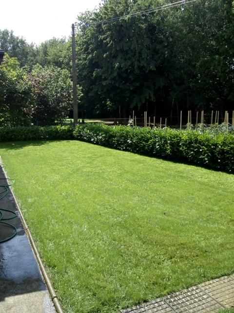 Travnjaci - travni tepisi i sijanje travnjaka - HRVATSKA