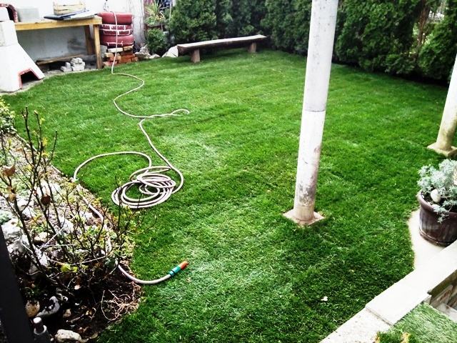 Travnjaci - travni tepisi i sijanje travnjaka - HRVATSKA