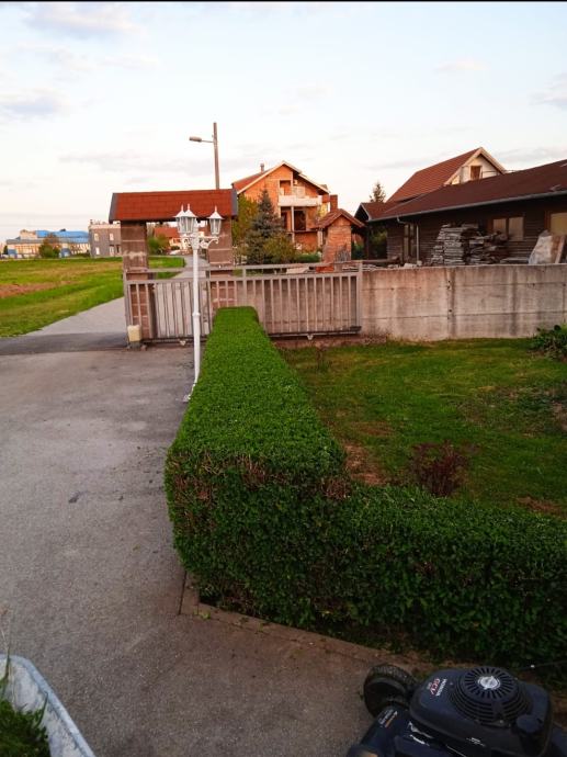 Košenje trave živice raslinja Košnja trave