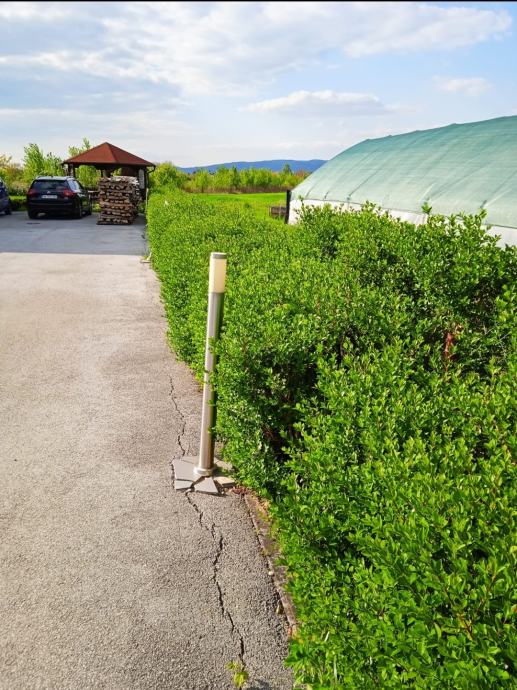 Košenje trave živice raslinja Košnja trave