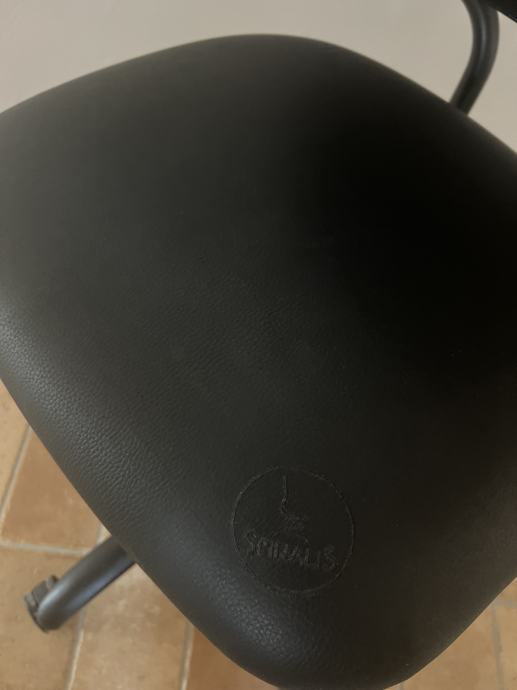 Spinalis ergonomic stolica