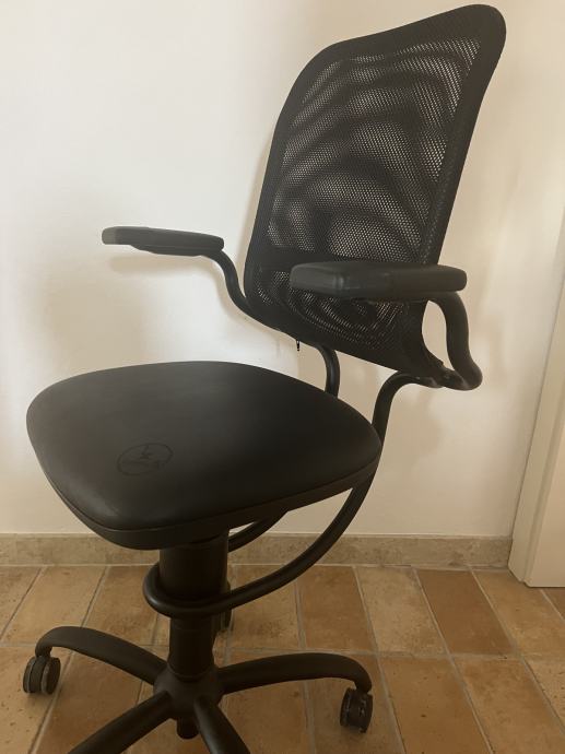 Spinalis ergonomic stolica