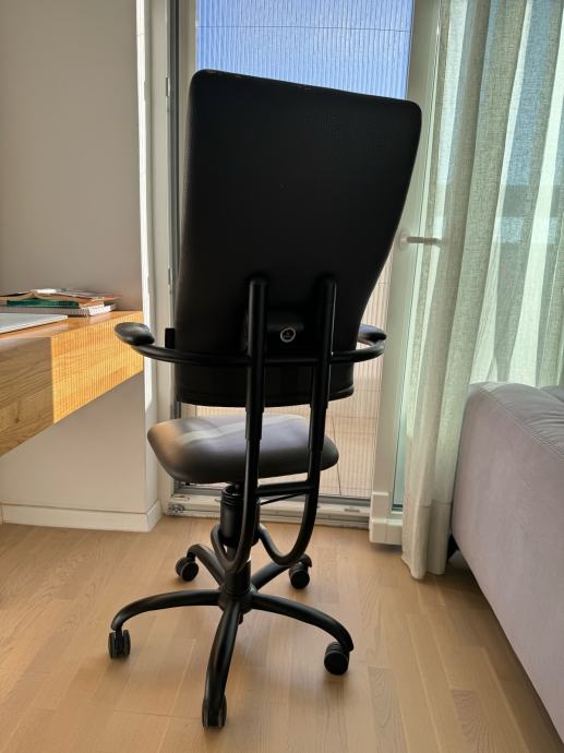 Spinalis ergonomska stolica za aktivno sjedenje