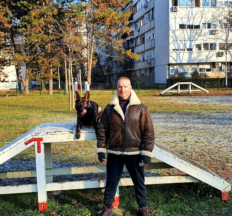 Dresura pasa-svih pasmina 35 godina iskustva