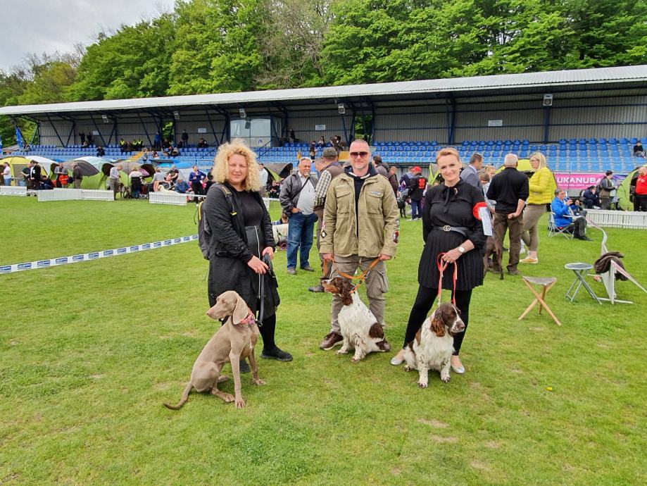 Dresura pasa-svih pasmina 35 godina iskustva