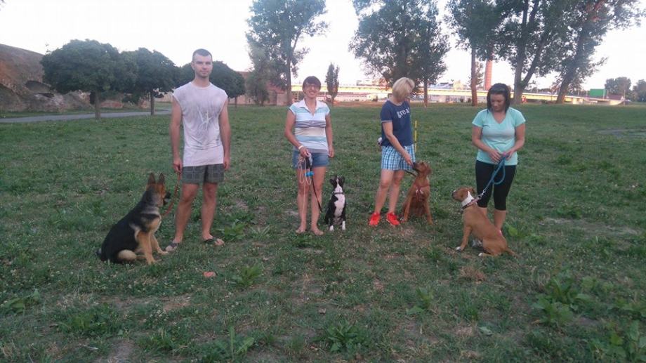 OBUKA I ČUVANJE PASA ( Klub za obuku pasa Baranja)