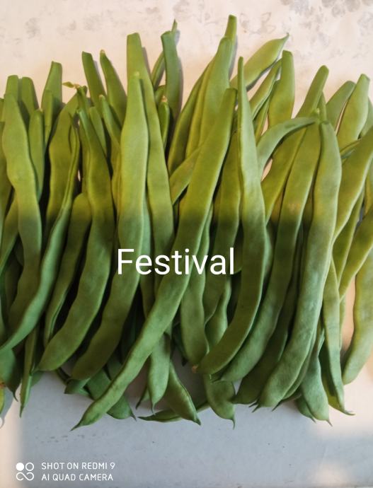 Grah mahunar Festival