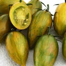 Rajčica ZELENA, GREEN ENVY