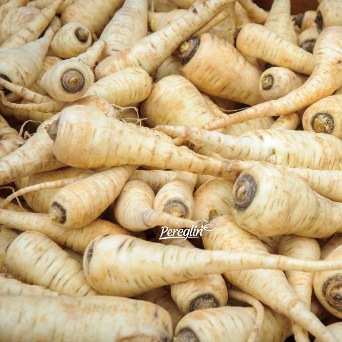 Sjeme pastrnjak / paškanat starinsko organsko (sjemenke)