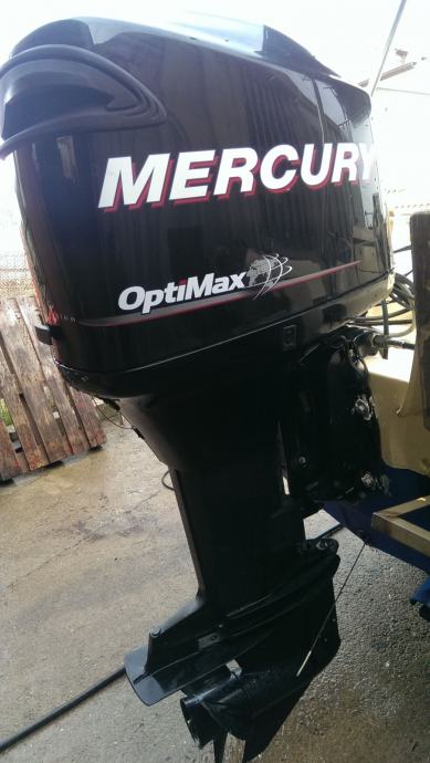 Mercury Optimax 175
