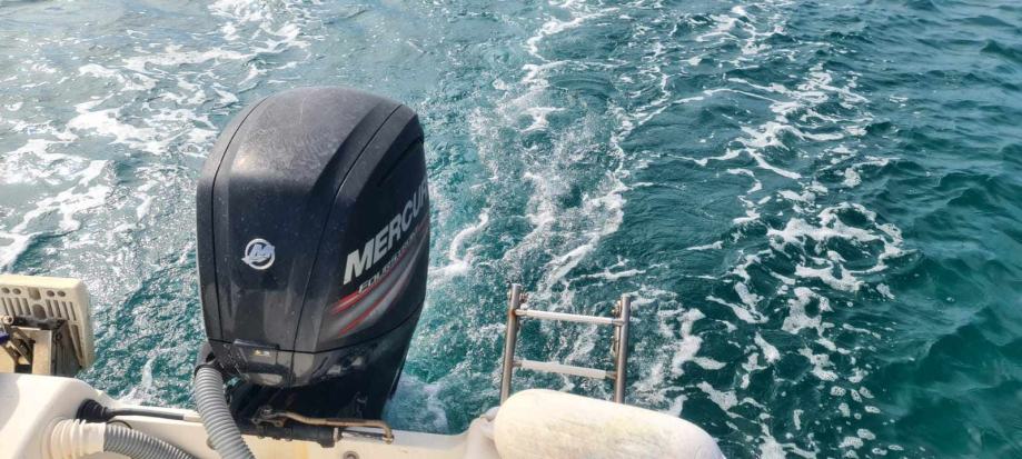 Prodaje se Mercury 100 efi 4 taktni