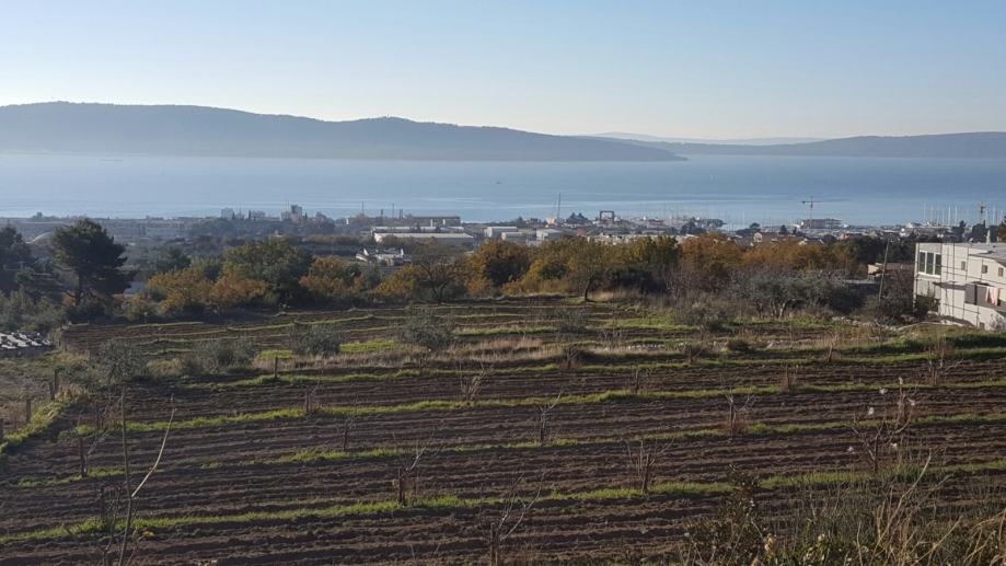 Ekološko sjeme domaćeg BOBA
