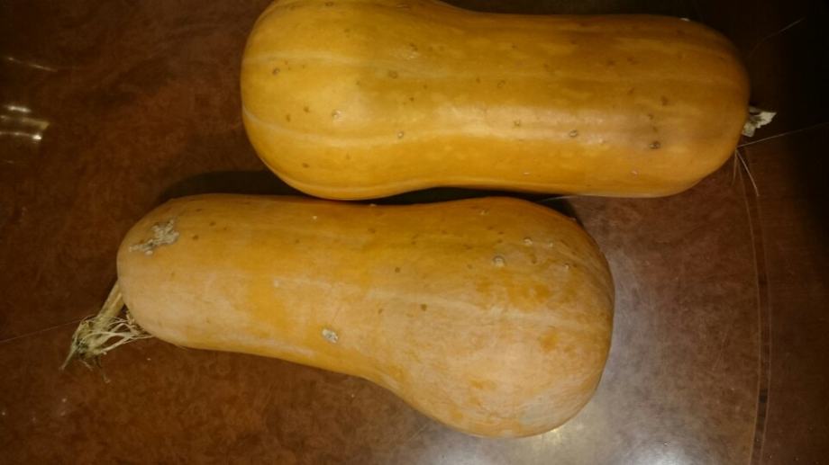 Butternut (puter) tikva domaća
