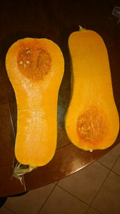 Butternut (puter) tikva domaća