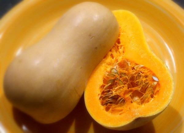 BUTTERNUT TIKVA - SADNICE - (MUŠKATNA ZIMSKA) - MOGUĆE SLANJE POUZEĆEM