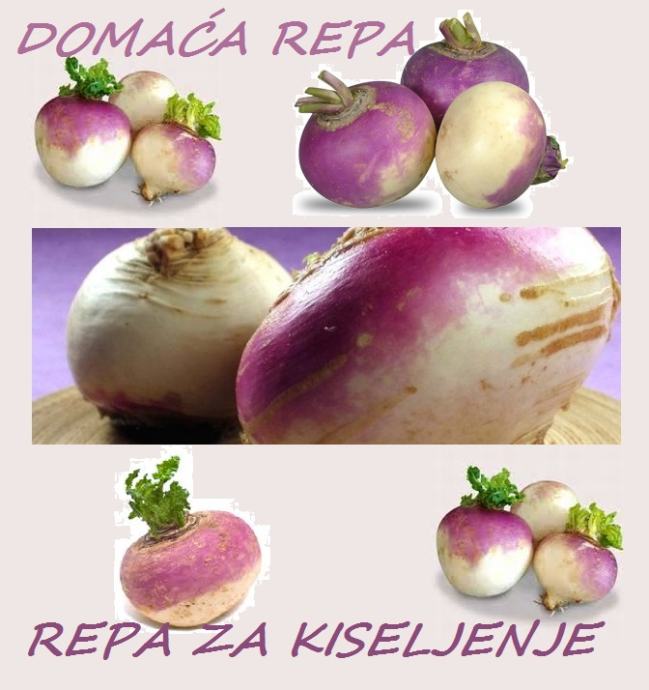 ® DOMAČA SEOSKA REPA