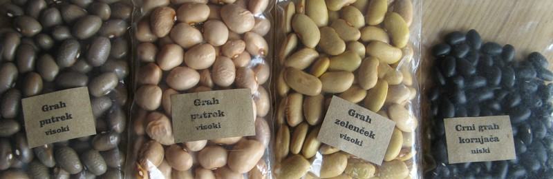 Grah sjeme - STARE SORTE - putrek, zelenček i crni grah - kornjača