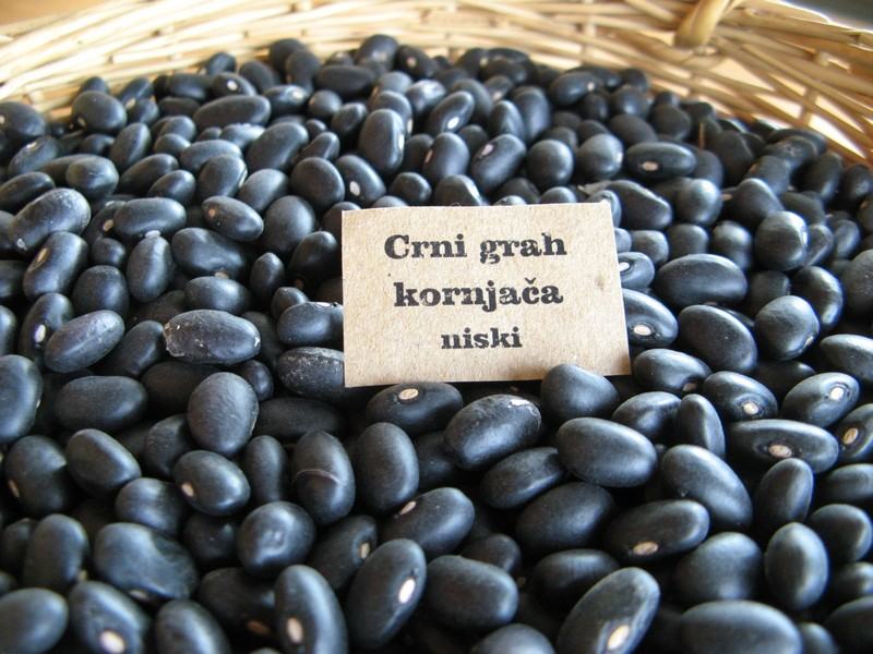 Grah sjeme - STARE SORTE - putrek, zelenček i crni grah - kornjača