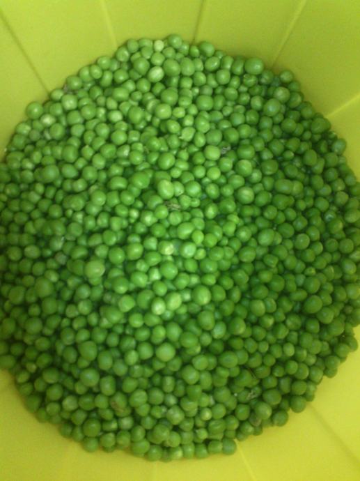 Domaći grašak, grah, mahune