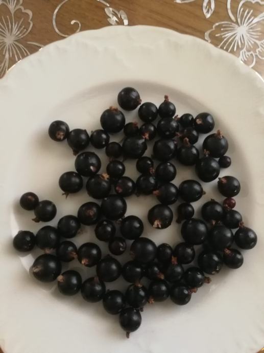 Crni ribizl eko plodovi