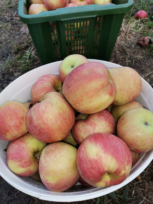 Jabuke samoberba i prodaja na veliko