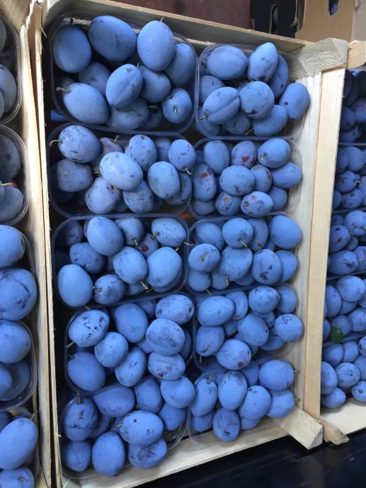 Šljive za rakiju prodajem 0,70 €/ kg