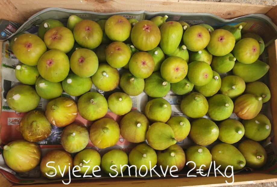 Smokve svježe