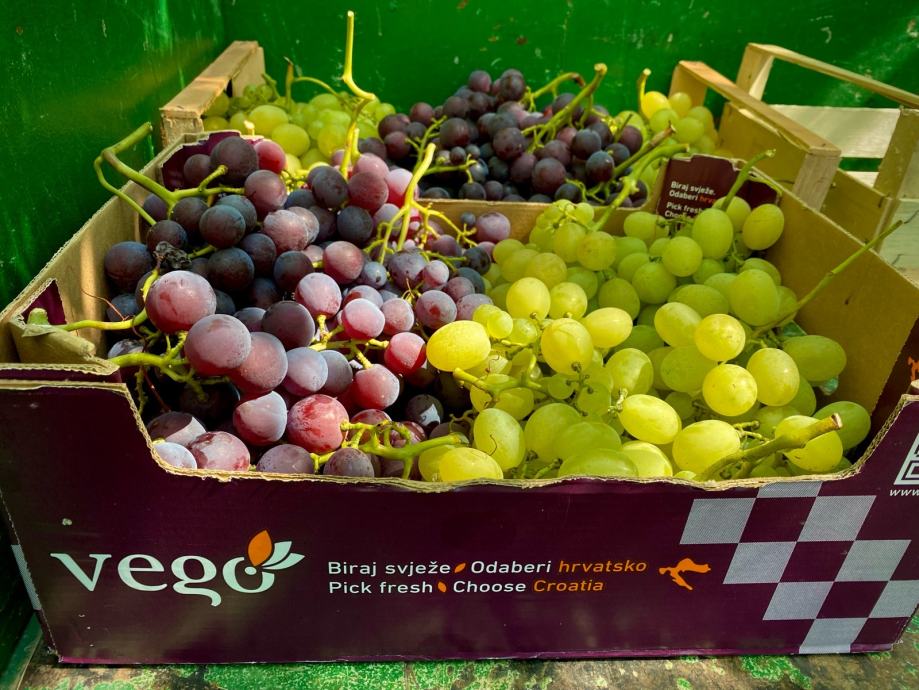 STOLNO GROŽĐE KARDINAL I VICTORIA