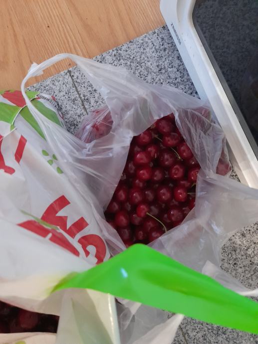 Višnja Maraska,eko uzgoj