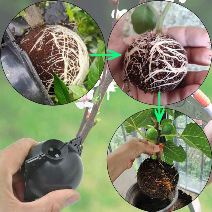 Plant Root Growing Box Cloning Ball - Air Layering Reusable Plant Root