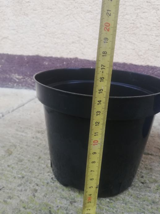 posude za cvijeće ili rasadu pvc od 2L= 0,10€ i 2,5L =0,12€