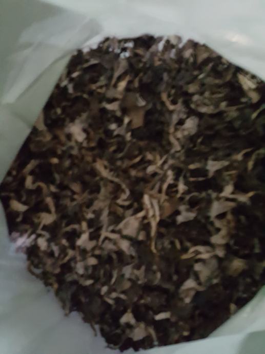 Crna Truba