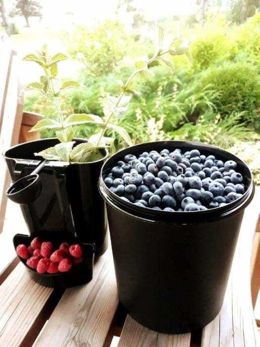 Tupperware Coffee Stationic