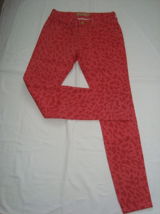 Leopard traperice vl. 38